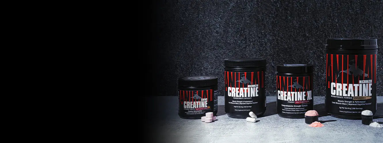 Creatine – Animal Europe