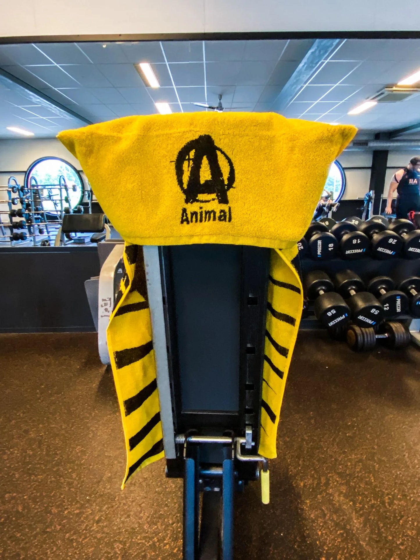 Animal Gym Towel yellow – Animal Europe